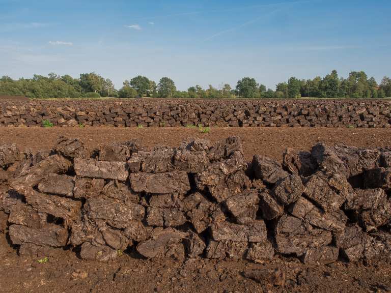 Torfabbau Campemoor Cycle Routes and Map | Komoot