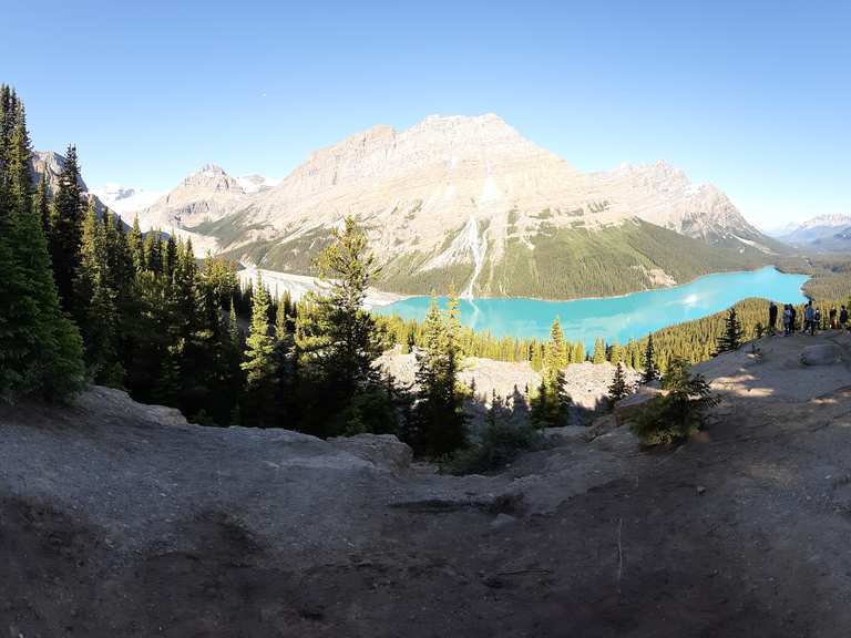 Peyto Lake Viewpoint Routes for Walking and Hiking | Komoot