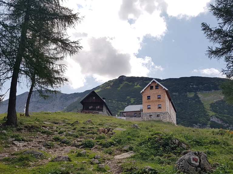 Dümlerhütte: Wanderungen und Rundwege | komoot