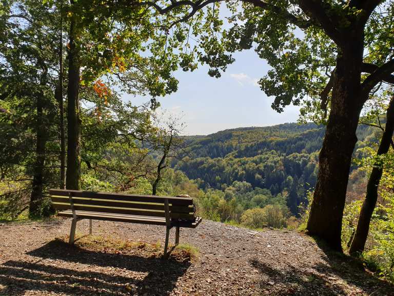 Brexbachschluchtweg (Brexbach Gorge Trail) in the Westerwald Wäller ...