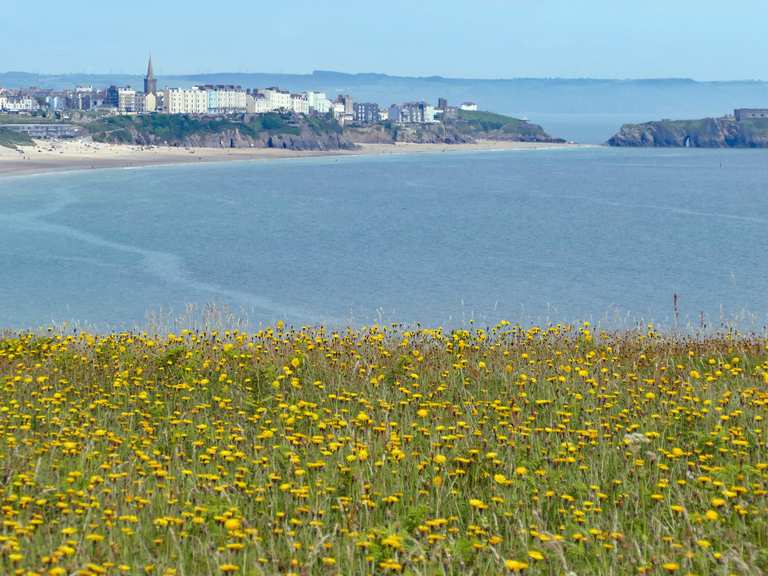 Giltar Point Routes for Walking and Hiking | Komoot