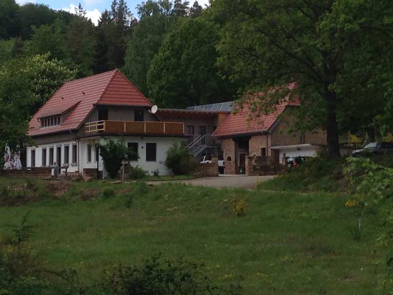 Forsthaus Annweiler/Schwarzer Fuchs Routes for Walking and Hiking | Komoot