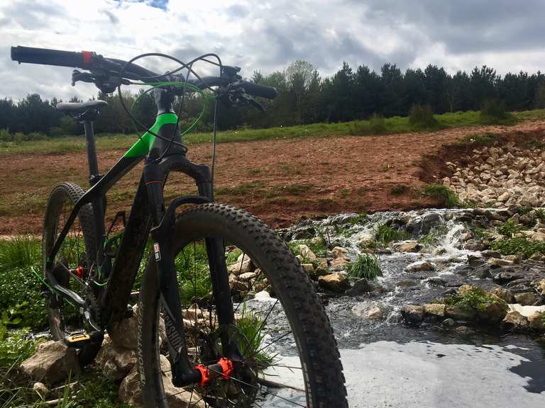 Shirebrook Wood - Mountain Bike Trails & Tracks | Komoot