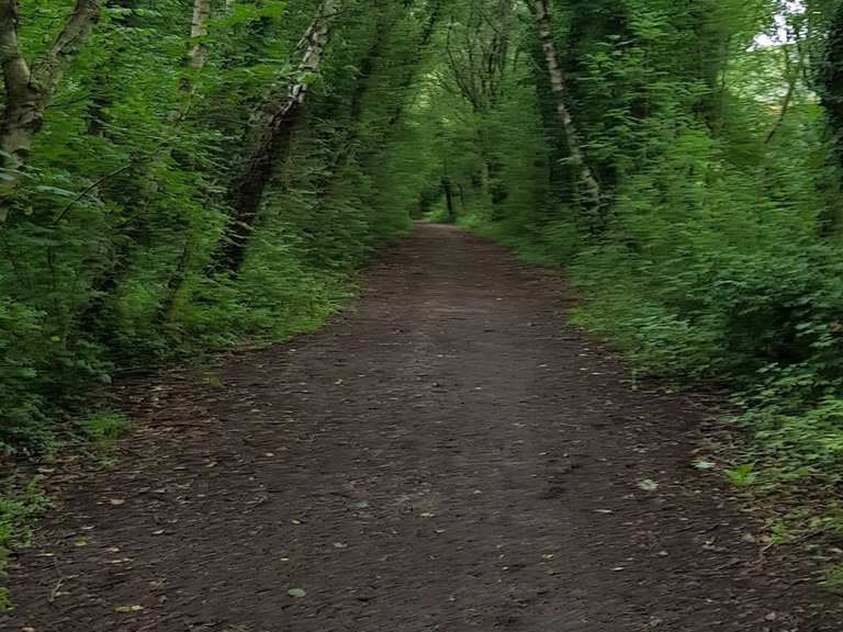 Taff Trail: Tongwynlais to Pontypridd section Mountain Bike Trails ...