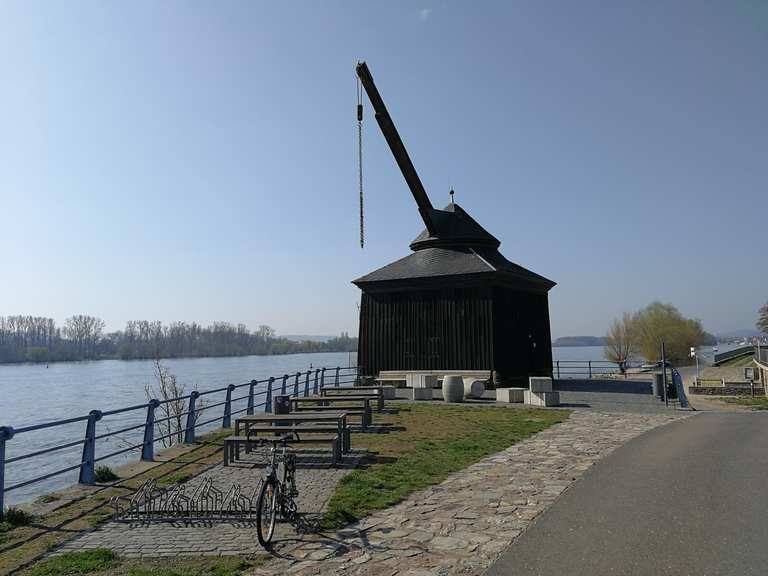Oestricher Kran - Cycle Routes and Map | Komoot