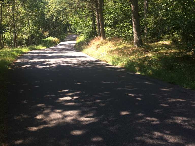 Runde um den Madum See - Routes for Walking and Hiking | Komoot