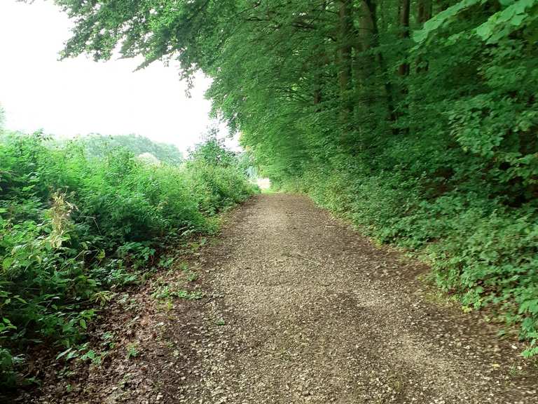 Lama Trail Mountain Bike Trails & Tracks | Komoot