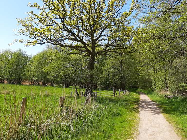 Naturschutzgebiet Aalbeek-Niederung: Wanderungen und Rundwege | komoot