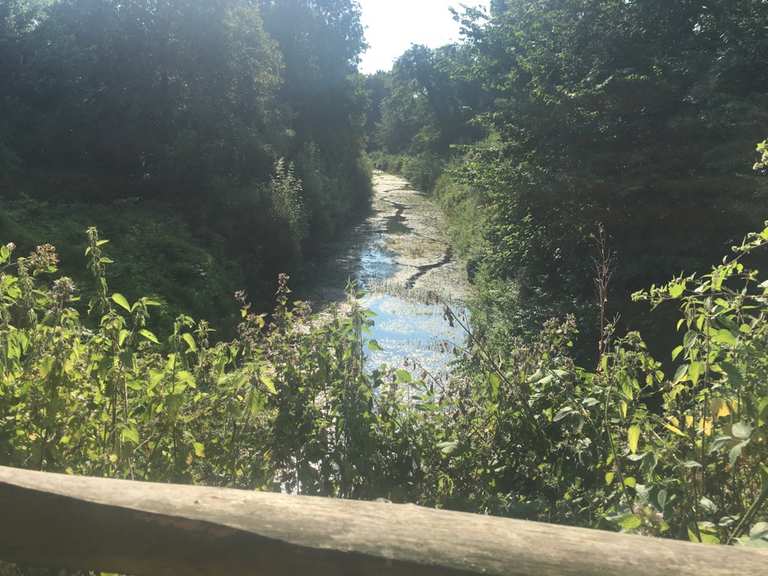 Greywell Tunnel - Routes and Map | Komoot