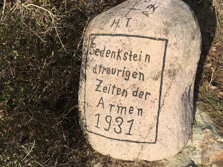 Hungerstein bei Westerhausen Routes for Walking and Hiking | Komoot