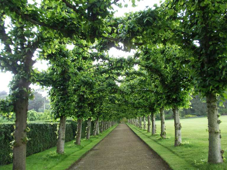 Sandringham House and Gardens - Cycle Routes and Map | Komoot