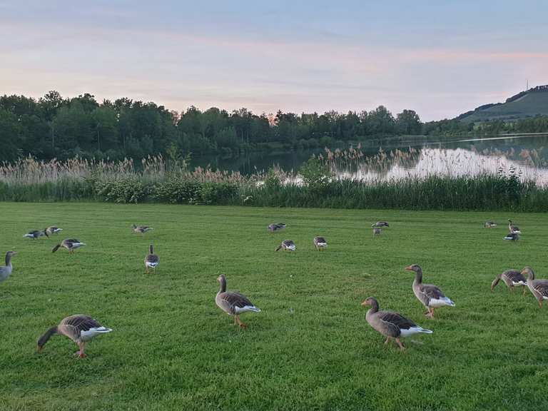 Breitenauer See - wandelroutes en hikes | Komoot
