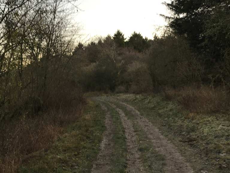 The Icknield Way - Routes for Walking and Hiking | Komoot