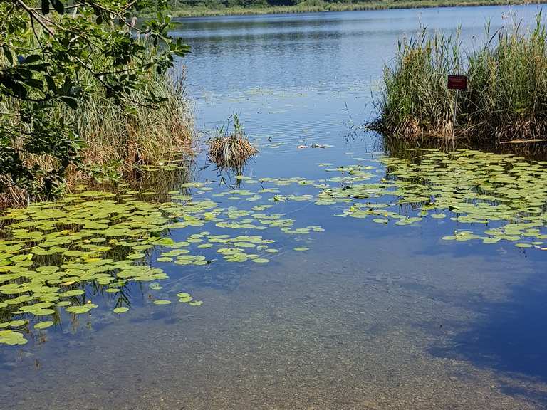 Kleinsee Routes for Walking and Hiking | Komoot