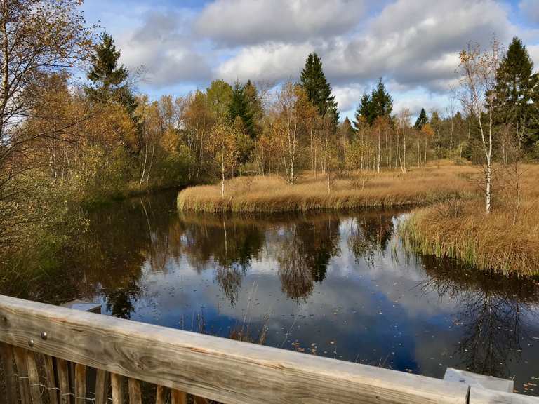 Das Moor wandelroutes en hikes | Komoot