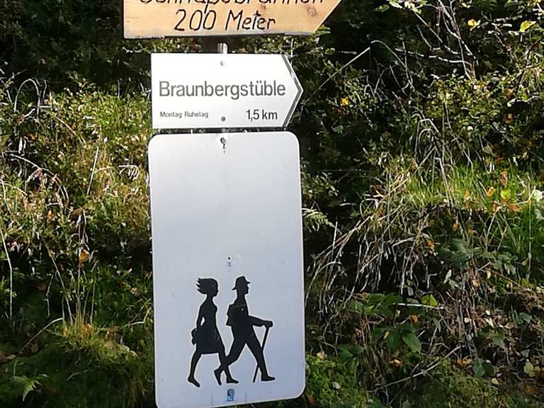 To the schnapps fountain Routes for Walking and Hiking | Komoot