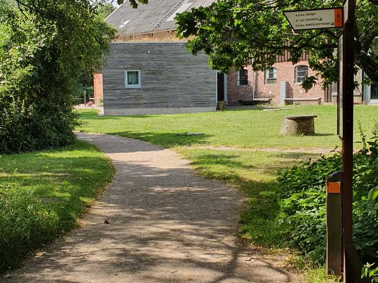 Fulltofta naturcentrum Routes for Walking and Hiking | Komoot