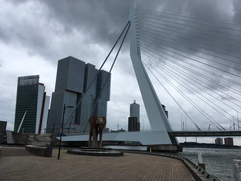 Erasmusbrug - Cycle Routes and Map | Komoot