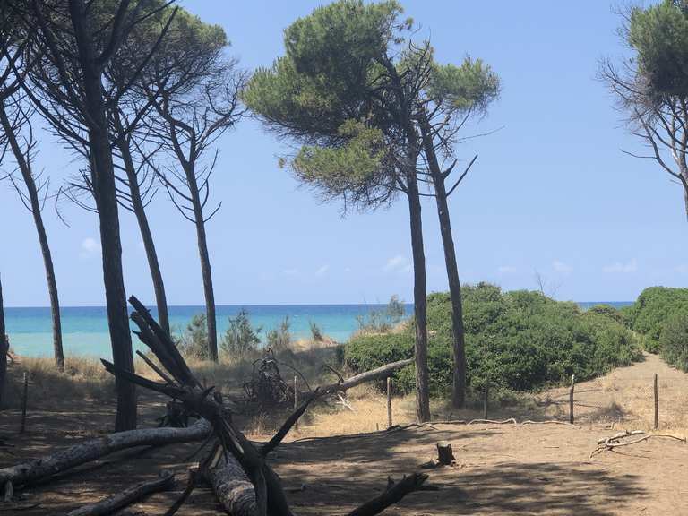 Towards the Tomboli di Cecina Nature Reserve | hike | Komoot