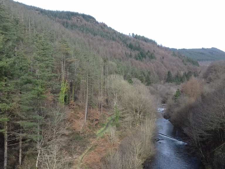 Afan Argoed Forest cycleway - Cycle Routes and Map | Komoot