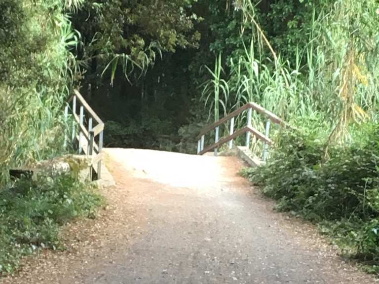 Riserva naturale biogenetica Tomboli di Cecina Cycle Routes and Map ...