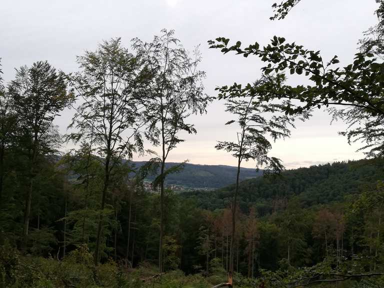 Burgruine Rodenberg Routes for Walking and Hiking | Komoot