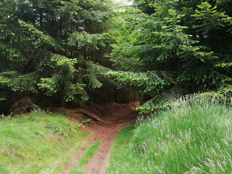 Spuren der Zeit: Mountainbike-Touren und -Trails | komoot