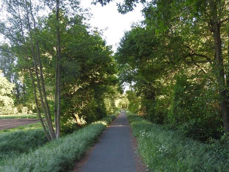 Radweg auf der alten Bahntrasse: Radtouren und Radwege | komoot