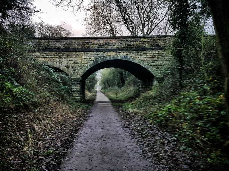 Cloud Trail Road Cycle Routes and Map | Komoot