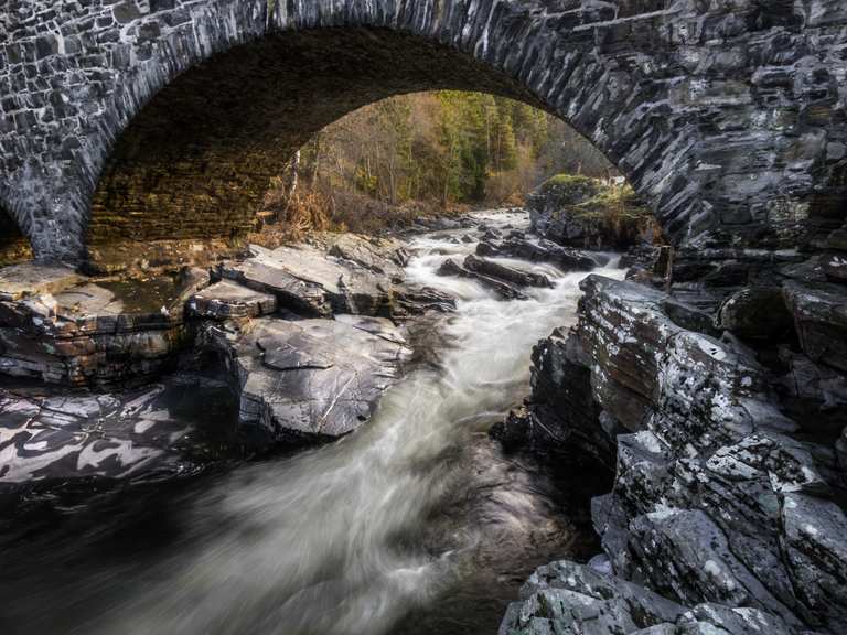Insh Marshes & Glen Feshie loop from Kingussie — Cairngorms National ...