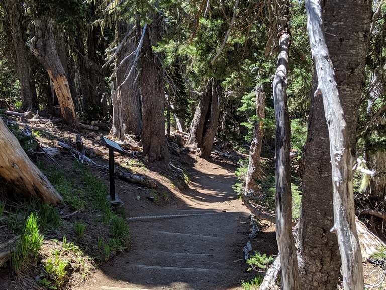 High Ridge Trail: Wanderungen und Rundwege | komoot