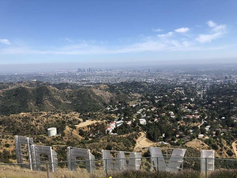 Wisdom Tree and Back of Hollywood Sign — Hollywood Hills | hike | Komoot