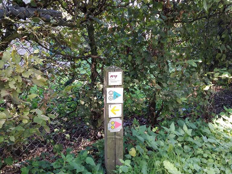 Provinciaal domein Puyenbroek wandelroutes en hikes | Komoot