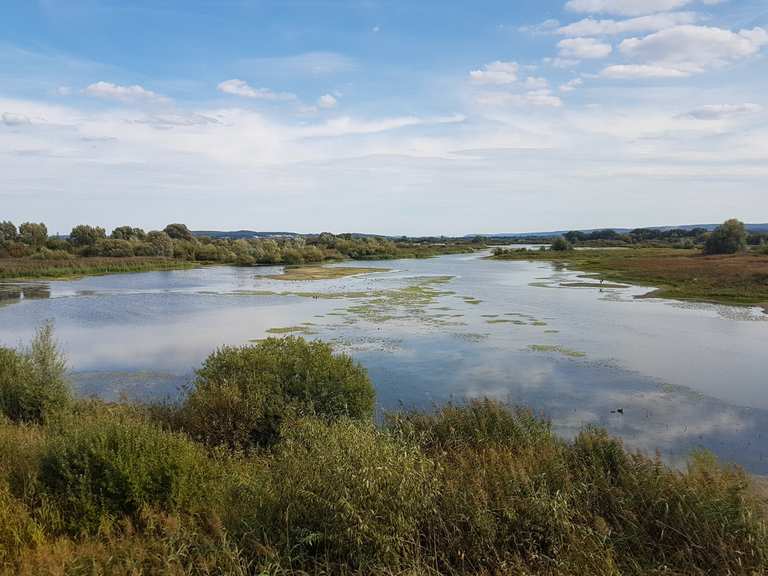 Vogelinsel im Altmühlsee Routes for Walking and Hiking | Komoot