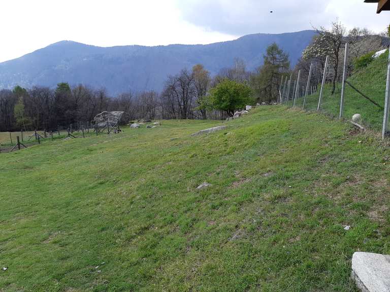 Alpe Marcalone Routes for Walking and Hiking | Komoot