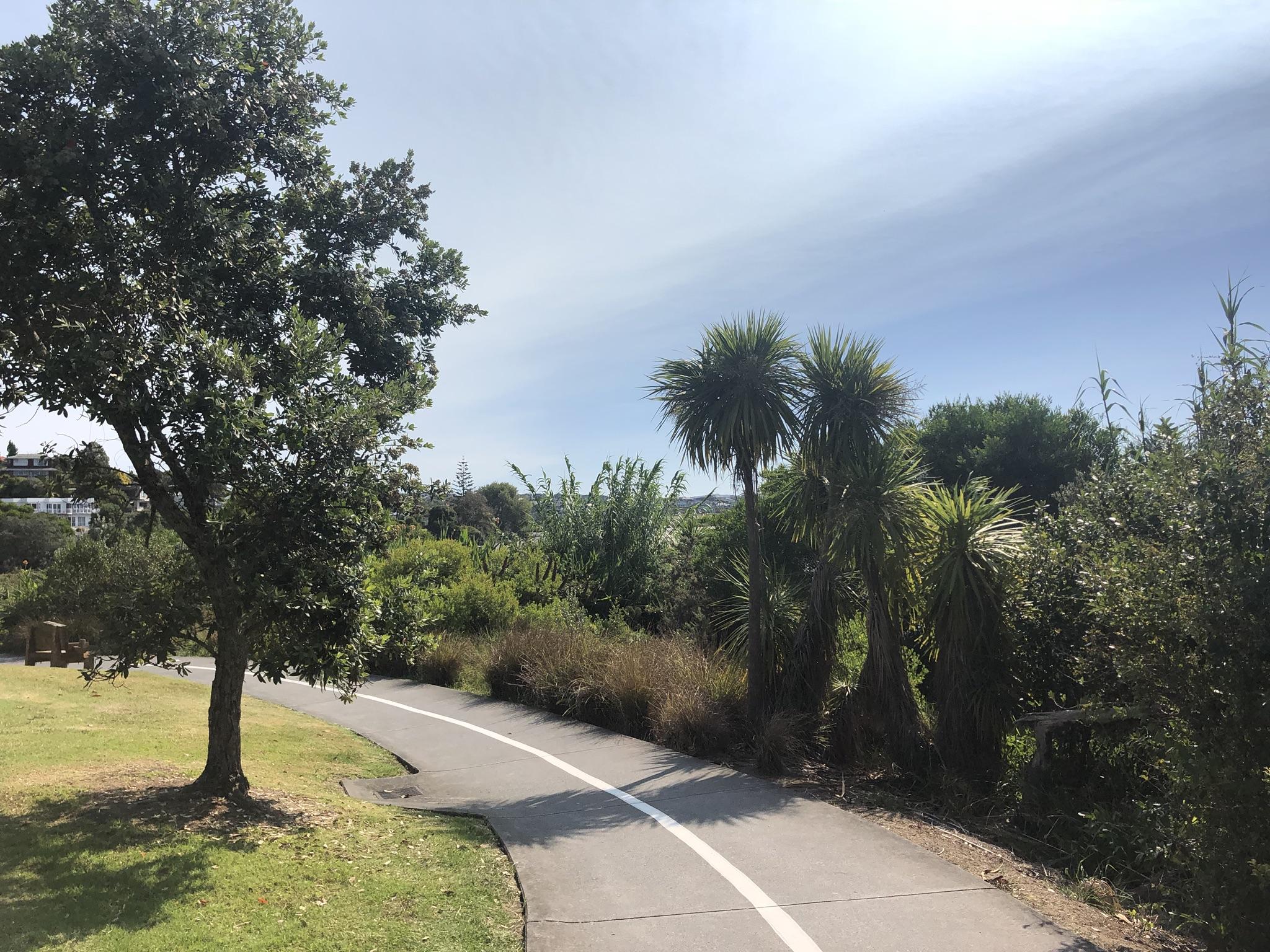 The best cycling routes in Auckland | Komoot