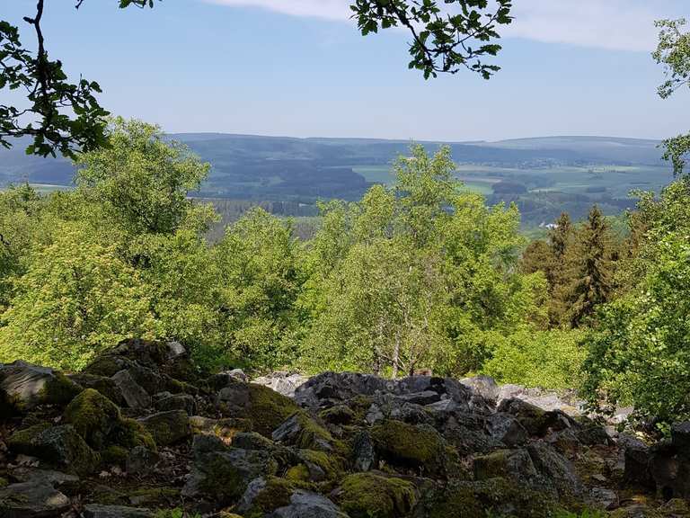 Keltischer Ringwall wandelroutes en hikes | Komoot