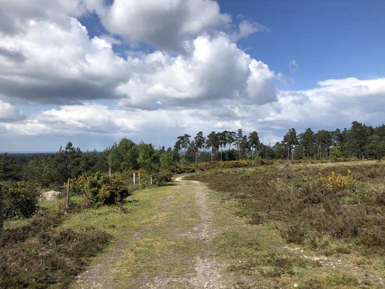 Bifurcation sur le sentier - Itinéraires vélo et carte | Komoot