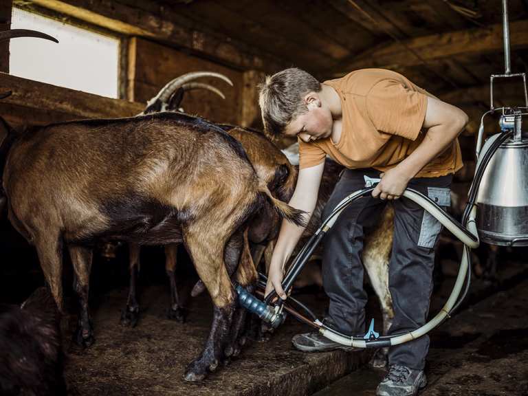 Alp Bire Routes for Walking and Hiking | Komoot