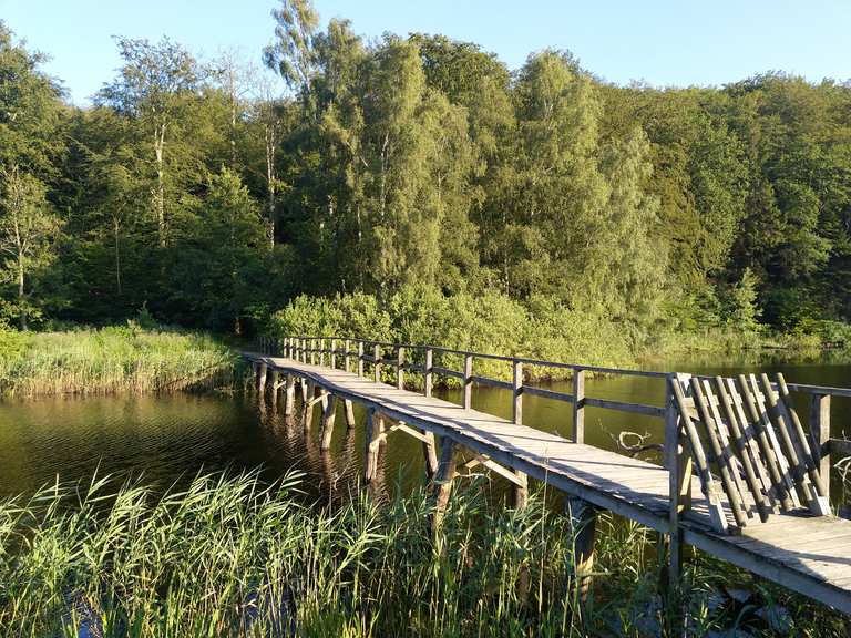 Lilleborg: Wanderungen und Rundwege | komoot