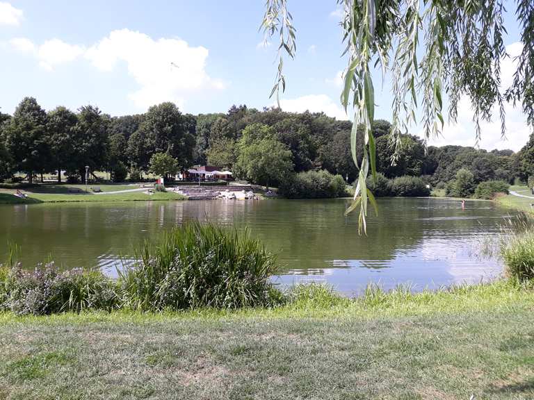 Elsenz See: Mountainbike-Touren und -Trails | komoot