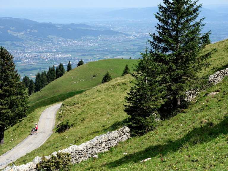 Blick auf das Rheintal und den Bodensee vom Kamor: Mountainbike-Touren ...