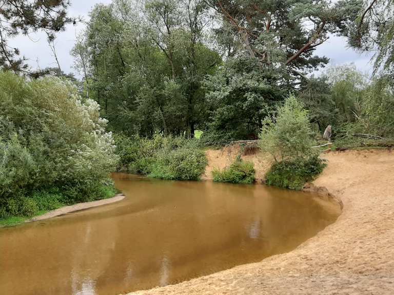Lutterzand: Wanderungen und Rundwege | komoot