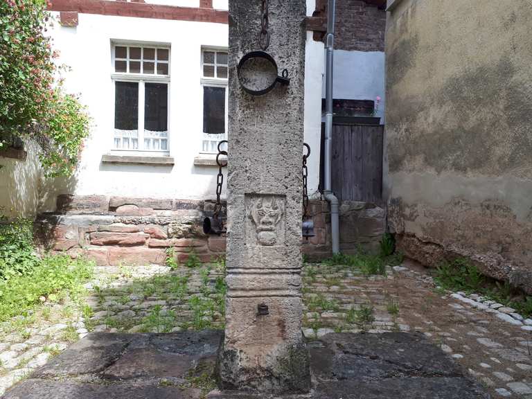 Pranger: Wanderungen und Rundwege | komoot