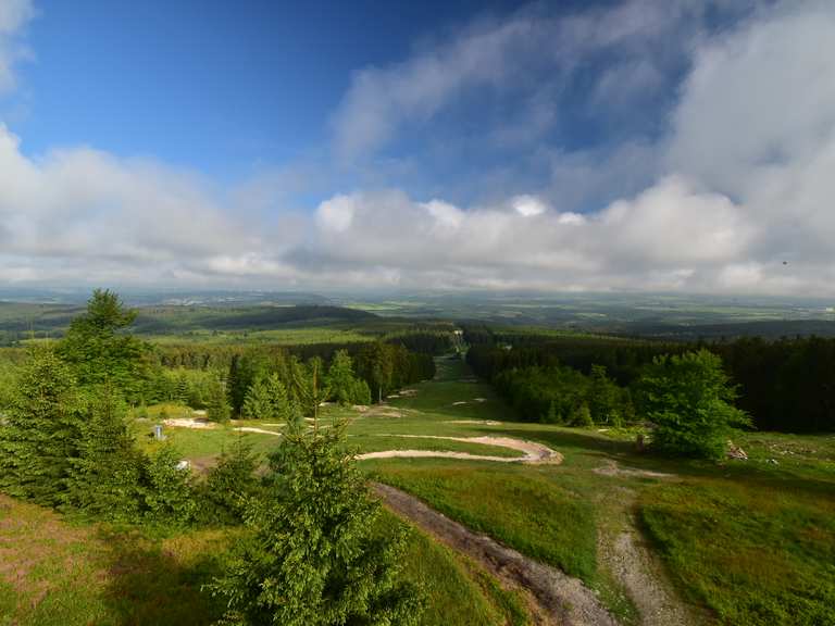 Erbeskopf (Höchster Punkt Rheinland-Pfalz) wandelroutes en hikes | Komoot