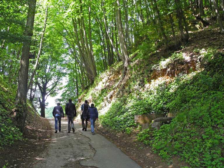 Frankendorf – Senftenberger Felsenkeller Runde von Stackendorf ...