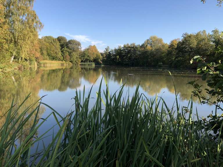 Flein – Blick auf Flein Runde von Flein | Wanderung | Komoot