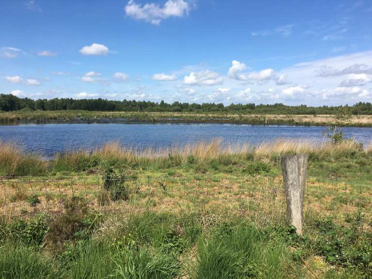 Natuurgebied Bargerveen – Wandel- & Fietsroutes | Komoot