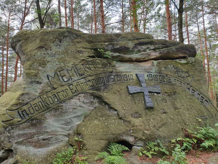 Trails am Kieferberg - Beispiel 2 Mountain Bike Trails & Tracks | Komoot