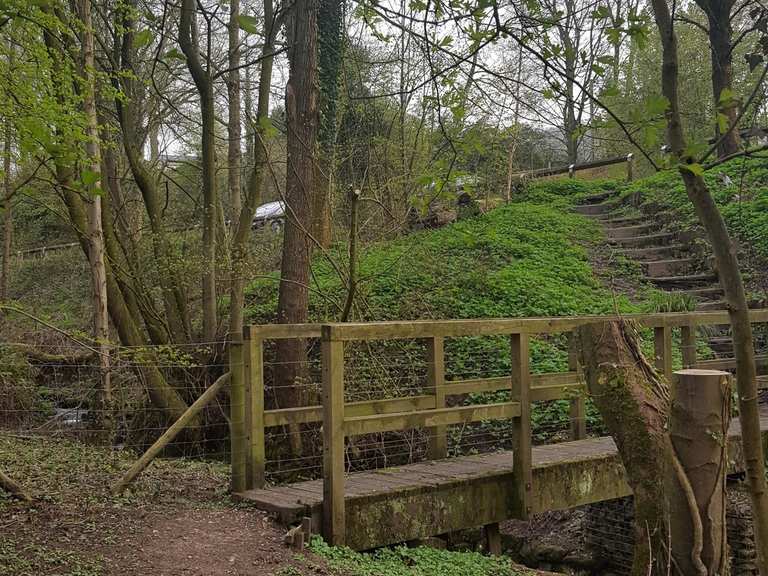 Timbersbrook Picnic Area: Wanderungen und Rundwege | komoot